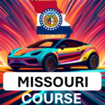 1stDrive – 100% Online Traffic School